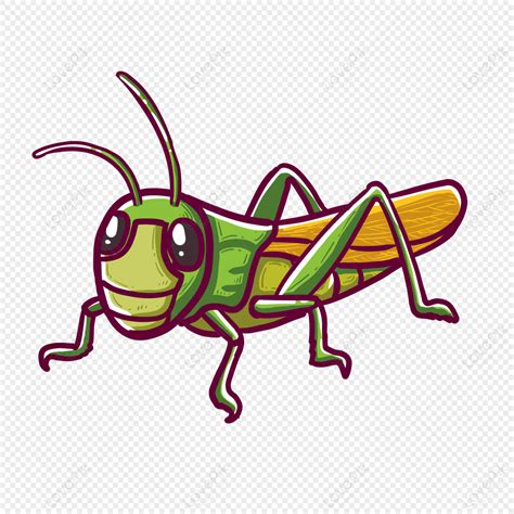 가 메뚜기 Png 일러스트 무료 다운로드 Lovepik