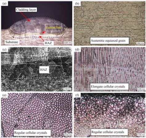 Microstructures Of Different Regions Of Single Pass Cladding Layer Download Scientific Diagram