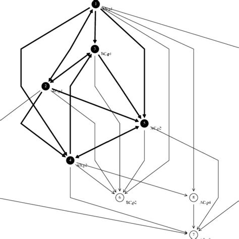 Graphical Representation Of The Dominance Relation Download Scientific Diagram