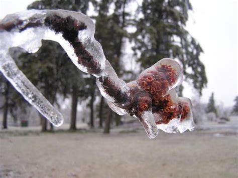 攝影圖集雨後出彩虹美國暴風雪過後美麗景觀 每日頭條