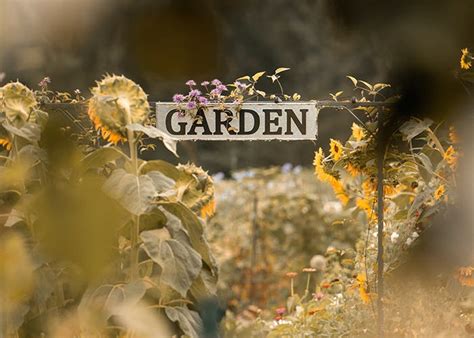 Matrix Planting That Fits Amid Traditional Landscape Design Horticulture