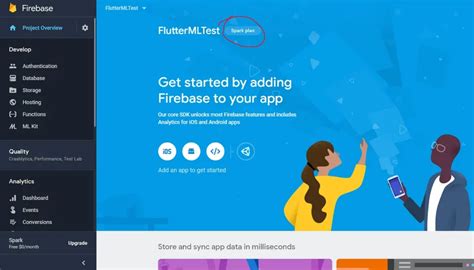 build custom image classification models for mobile with flutter ml