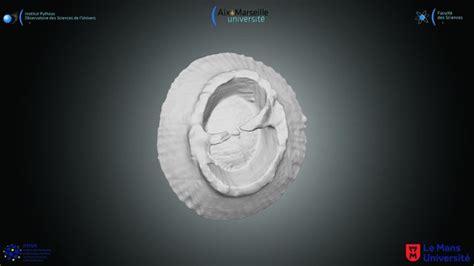 Haptophyta 3d Models Sketchfab