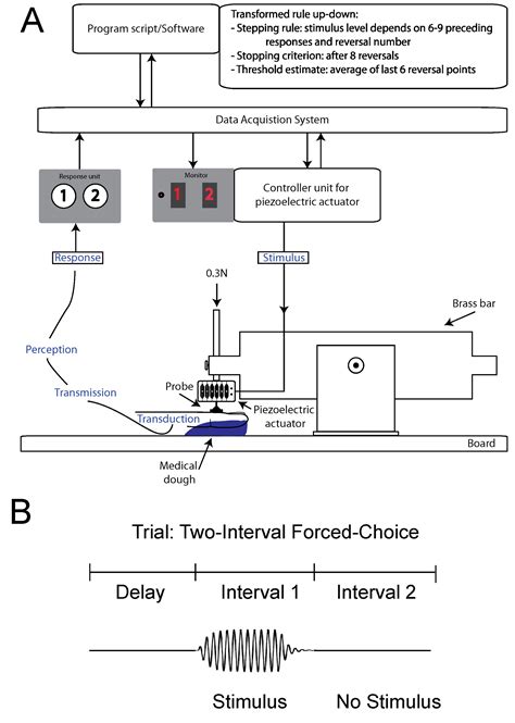 Vibration Detection At Nicole Webber Blog