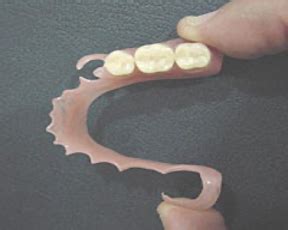 Prótesis Removible Dental Austral