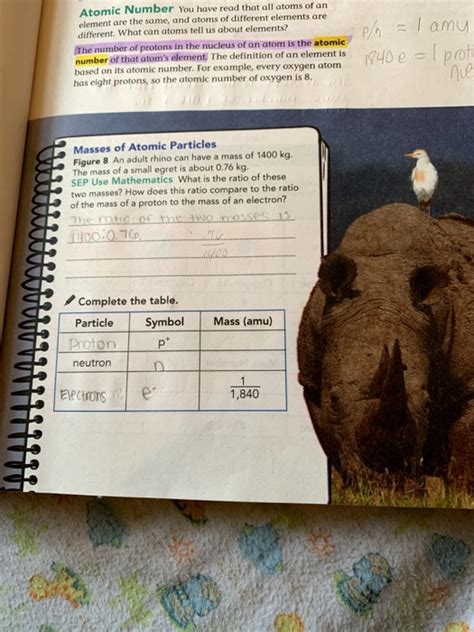 Solved Atomic Number You Have Read That All Atoms Of An Chegg Com