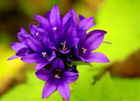 Color Contras The Beautiful Color Contrast Yrjö Jyske Flickr