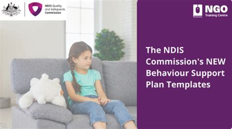 New Ndis Behaviour Support Plan Template