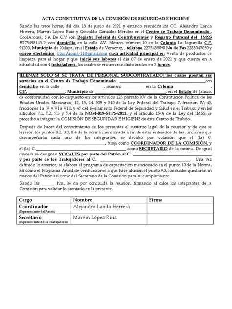 Acta Constitutiva Seguridad E Higiene Pdf Gobierno