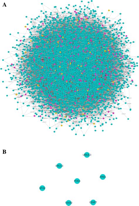 Null Model Network A The Null Model Network Composed Of The Same Nodes