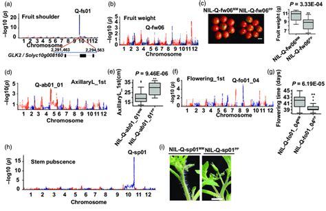 Identification And Validation Of Loci Associated With Agronomic Traits Download Scientific