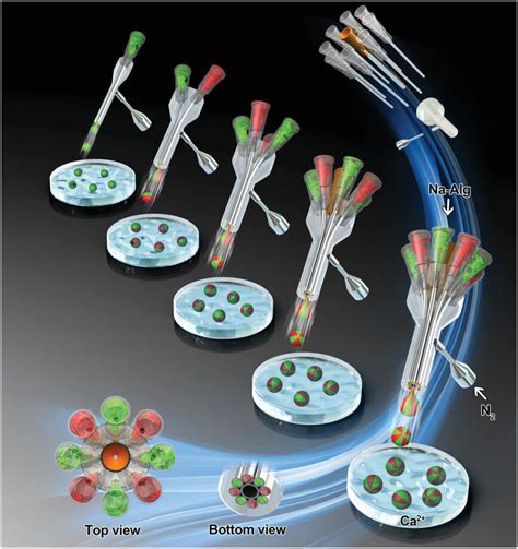 Gas‐shearing Fabrication Of Multicompartmental Microspheres A One‐step