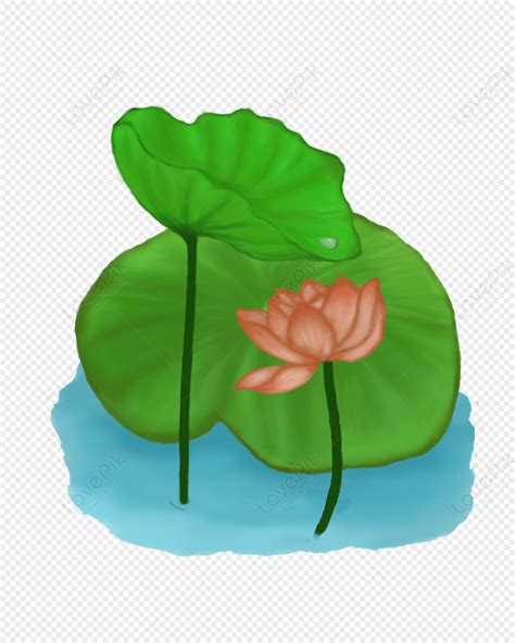 연꽃 Png 일러스트 무료 다운로드 Lovepik