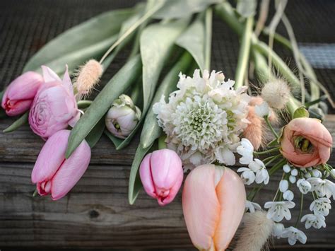 How To Start A Cut Flower Garden The Garden