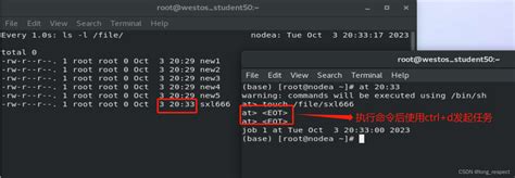 Linux中的任务时钟：精确掌控你的计划 Csdn博客