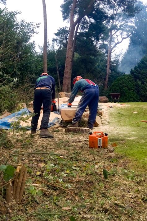 Tree Surgery 112 Harman Tree Surgery