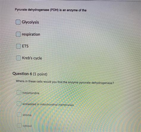 Solved Pyruvate Dehydrogenase Pdh Is An Enzyme Of The