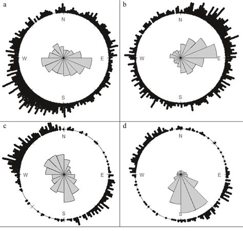 Step Directions Associated With Strong And Contiguous Vectors Dots