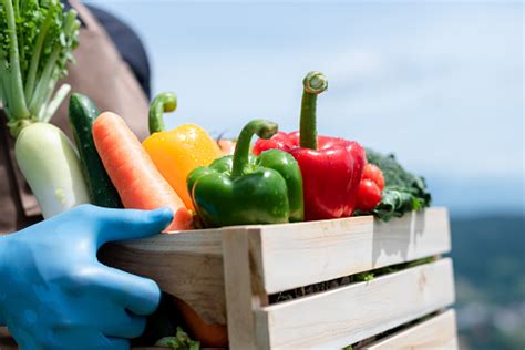 건강하고 신선한 유기농 과일과 채소를 다양하게 담은 상자 0명에 대한 스톡 사진 및 기타 이미지 0명 가득 찬 개체 그룹 Istock