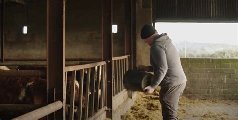 Eu Advisory Committee Endorses Code For Animal Feed Labelling