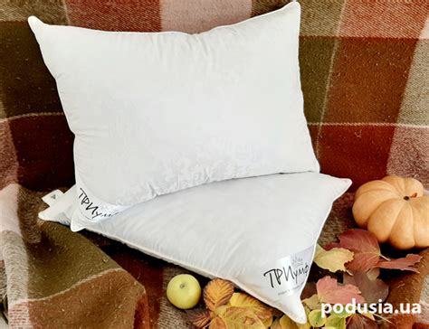 Подуся Чистка та реставрація подушок