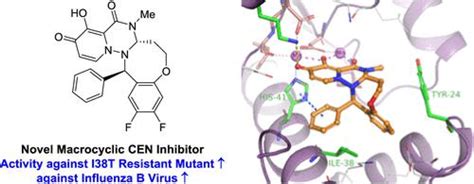 Discovery Of A Macrocyclic Influenza Cap Dependent Endonuclease Inhibitorjournal Of Medicinal