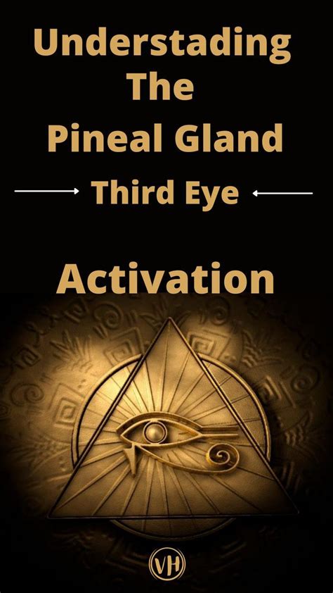 Understanding The Pineal Gland Artofit