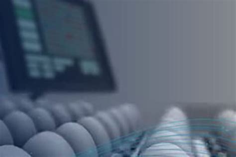 News Archive Poultry World