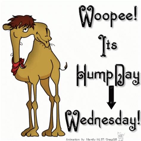 Wacky Wednesday S