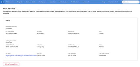 set up the feature store domino data lab