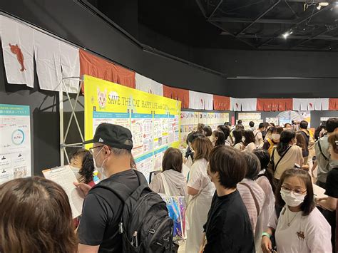 【公式】「ネコ市ネコ座 」楽しみながら猫助け！日本最大級ホゴネコイベント猫が助かる猫祭り On Twitter ネコ市ネコ座東京ドーム