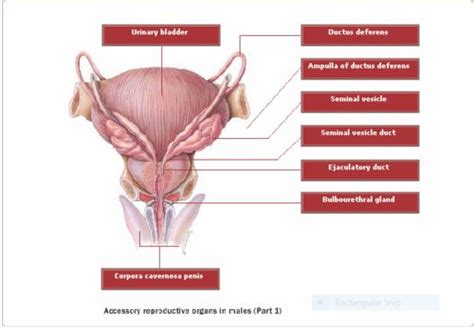Chapter Flashcards Quizlet Star Wars Ships Flashcards Chapter
