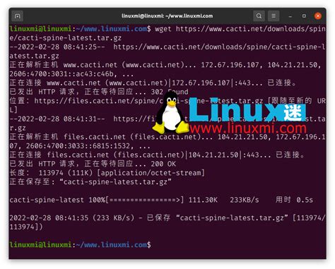 如何在 ubuntu 20 04 18 04 上安装 cacti spine 轮询器 linux迷
