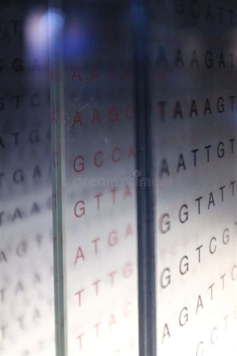 Dna Code Written On Different Glass Translucent Surfaces Stock Image