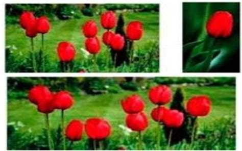 Figure 3 From Survey Of Copy Paste Forgery Detection In Digital Image