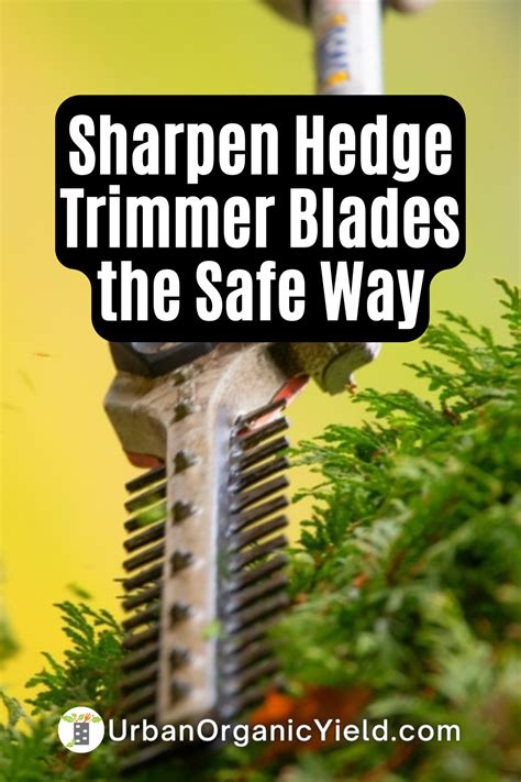 How To Sharpen Hedge Trimmers Artofit