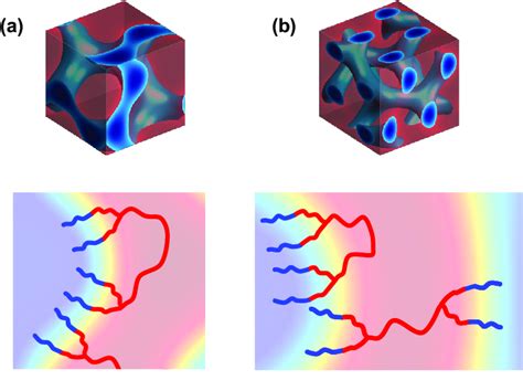 Depictions Of H Shaped Polymer Chain Configurations Forming A B Download Scientific Diagram