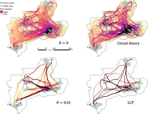 Inter Nuclei Flux Density Calculated With Randomized Shortest Path Download Scientific Diagram