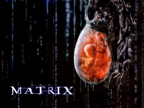 The Matrix Population Ethics And Pod People