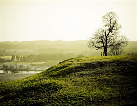 Hill Lithuania Nature Grass Field Silhouette Rural Scene Tree
