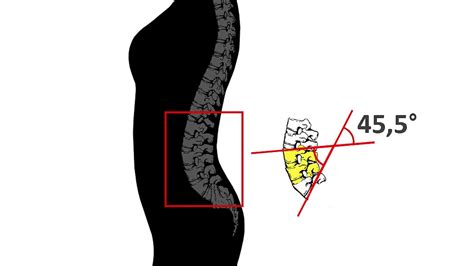 Автор массажа Бразильская попка Как делать массаж Бразильская попка Youtube