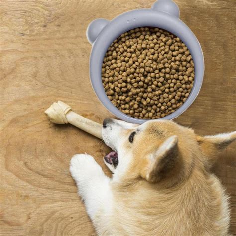 Badu Bg Купички за кучешка храна Купа за бавно ядене Кучешка купа с кръгла форма Бавна хранилка