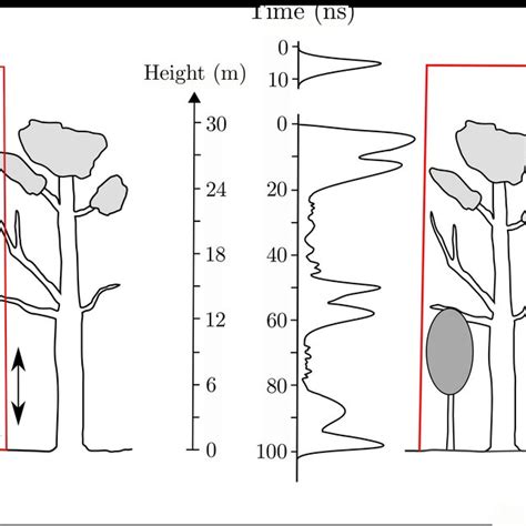 Illustration Of A LiDAR Sensor Download Scientific Diagram