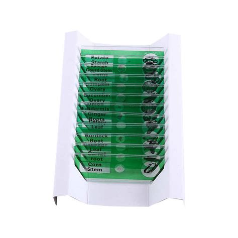 12pcs Plastic Prepared Microscope Slides Animals I Grandado