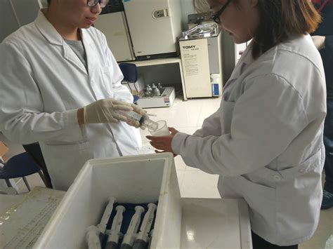在岗位专家依托单位进行高产奶牛体内胚胎生产