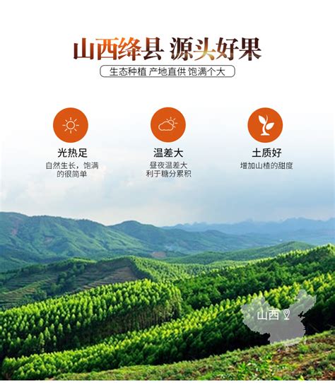 山楂软糕 山西维之王食品有限公司
