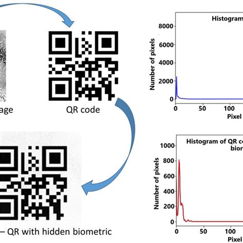 Proposed Steganographic Hiding Of The Crossfolded Biometric Image In A