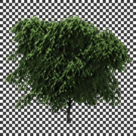 Billboard Tree Decal A23d