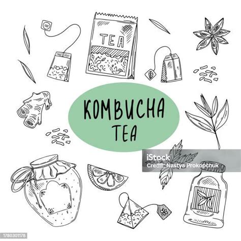 콤부차 차와 콤부차 스케치 재료 콤부차 음료 차버섯 차버섯 Kombucha에 대한 스톡 벡터 아트 및 기타 이미지 Kombucha 일러스트레이션 주스 Istock
