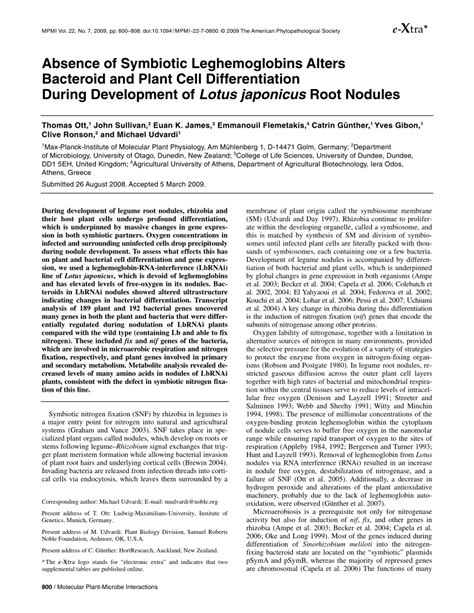 Pdf Absence Of Symbiotic Leghemoglobins Alters Bacteroid And Plant